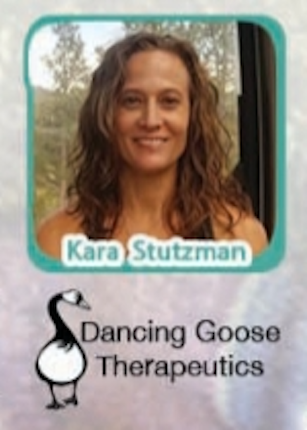 Dancing Goose Therapy - Manitou Springs